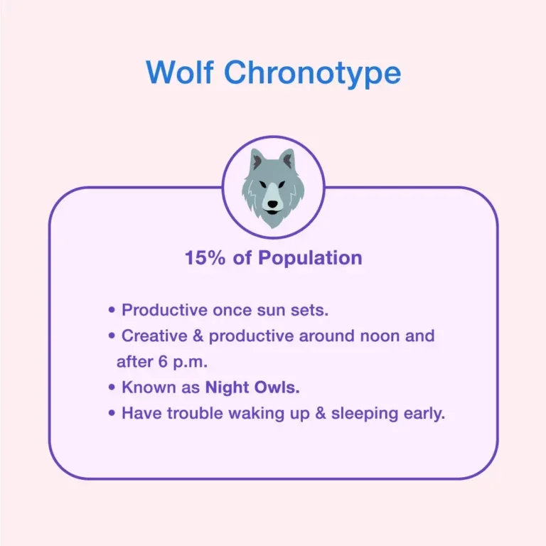 What Is Chronotype Types, & Effect On Sleep